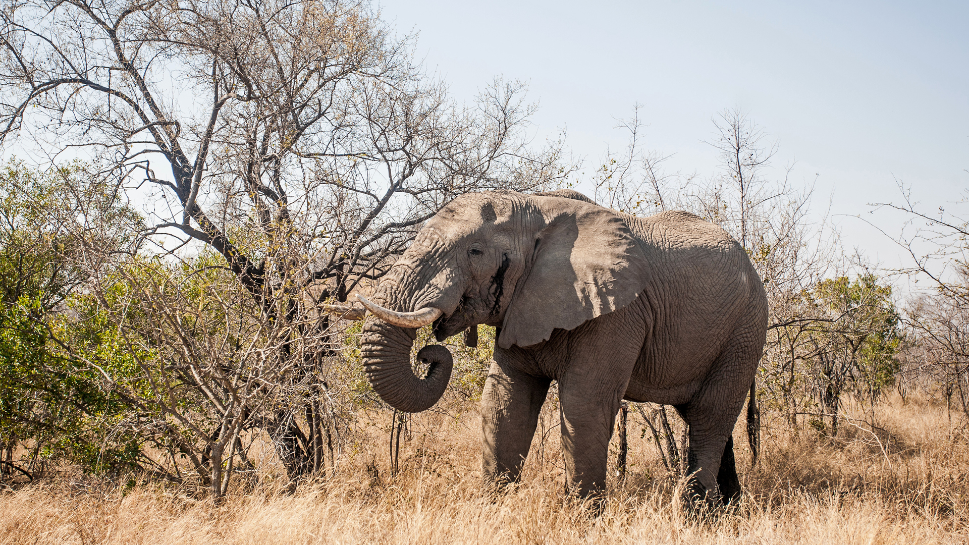 Cheap flights to Ndola (NLA) from £747 | Netflights